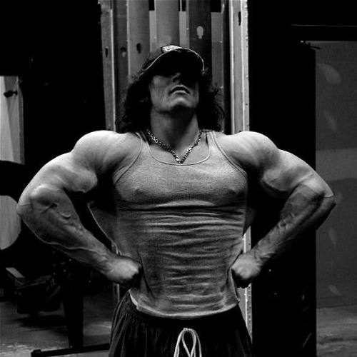 Stream Sam Sulek GymSad Motivation by Uri. | Listen online for free on ... Stream Sam Sulek GymSad Motivation by Uri. | Listen online for free on ...
