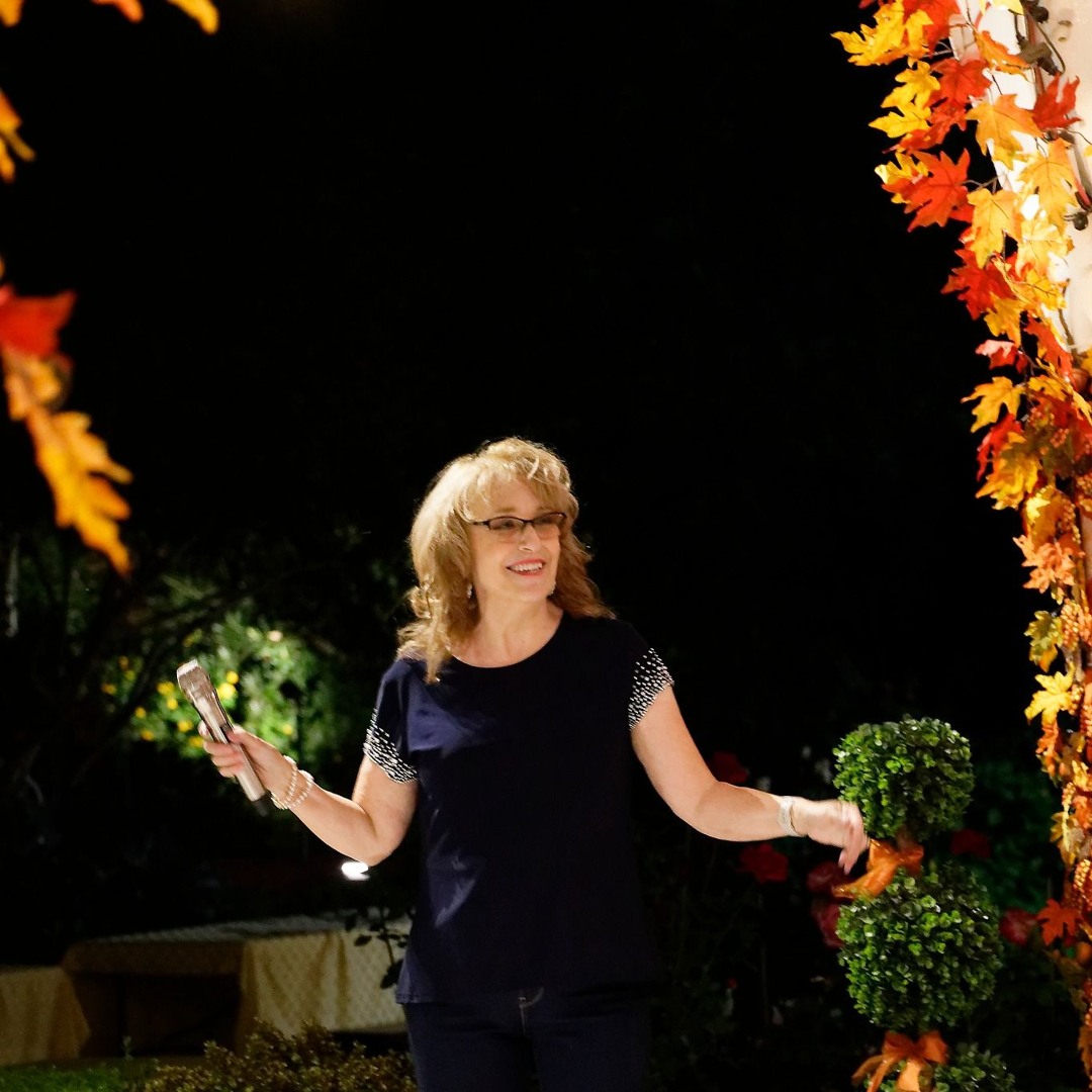 Stream Janice and Bill's Picnic 2023 'Hello Trouble' by JANICE ALLEN ...