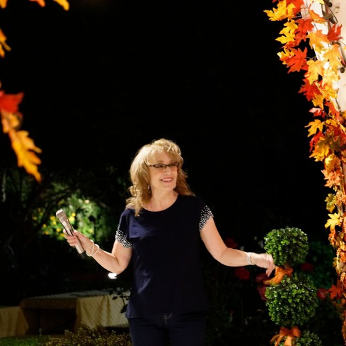 Stream Janice and Bill's Picnic 2023 'Hello Trouble' by JANICE ALLEN ...