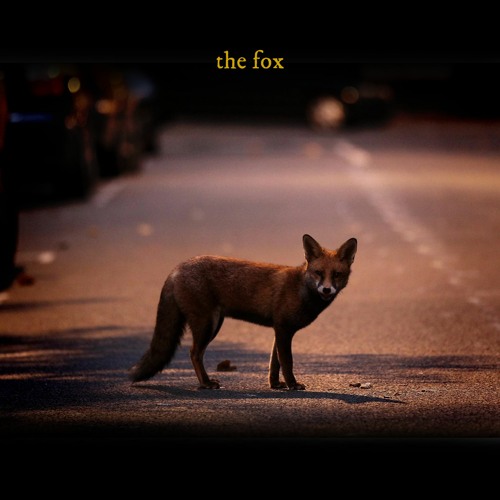 Stream The Fox (Demo) by Chris Albery-Jones | Listen online for free on ...