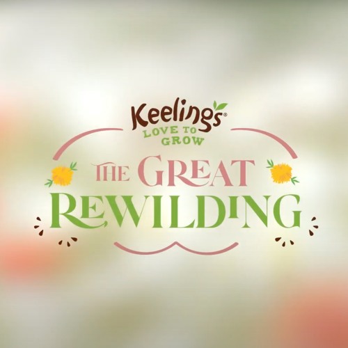 Stream Keelings "Rewilding" by Hugh Rodgers | Listen online for free on ...