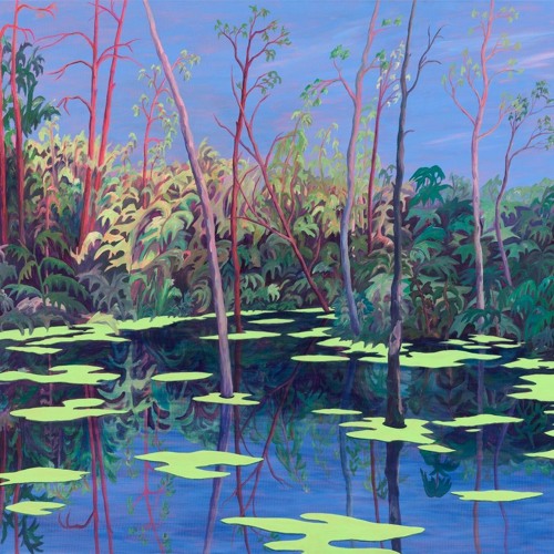 Stream WUNDER NATUR by Ronald Poelman | Listen online for free on ...