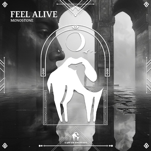 Stream Monostone - Feel Alive [Cafe De Anatolia] by Cafe De Anatolia ...