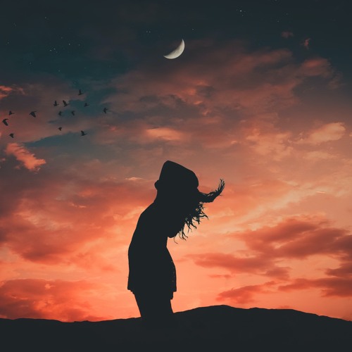 Stream Shikantaza Ipso Facto - Jundo Cohen from Treeleaf Sangha ...