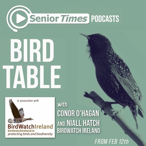 Stream Bird Table presented by Niall Hatch & Conor O Hagen Ep1 by ...