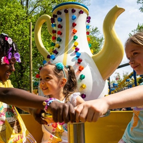 Stream How to Install and Use Busy 21 (Rel. 4.3) - A Step by Step Guide ...