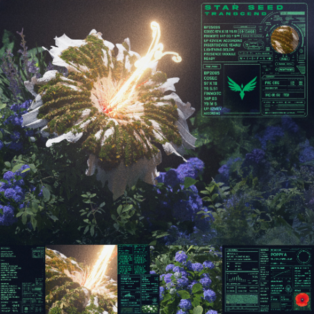 Stream STAR SEED - Transcend by STAR SEED | Listen online for free on ...