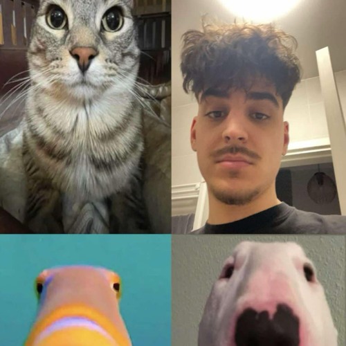 Stream CRONK (2025 VIP) [PATREON EXCLUSIVE] by triton | Listen online ...