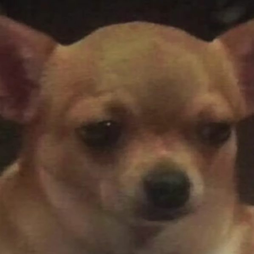 Stream una & flower - hitogawari (kikuo) - vocaloid cover by Teru ...