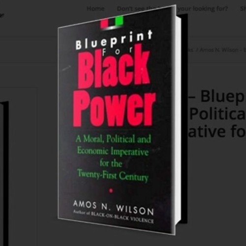 Stream Chapter 1 AUDIOBOOK - Blueprint For Black Power from The Black ...