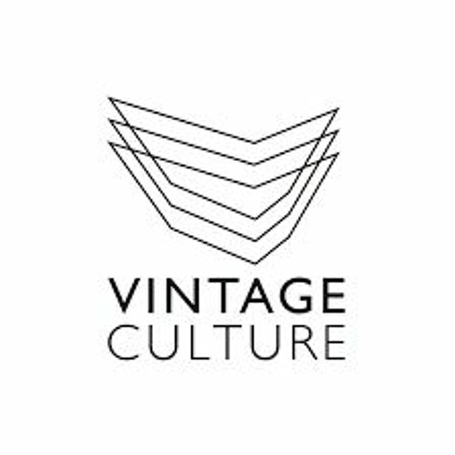 Stream Tina Turner - Bhaskar, Vintage Culture & Meca by Enricob ... Stream Tina Turner - Bhaskar, Vintage Culture & Meca by Enricob ...