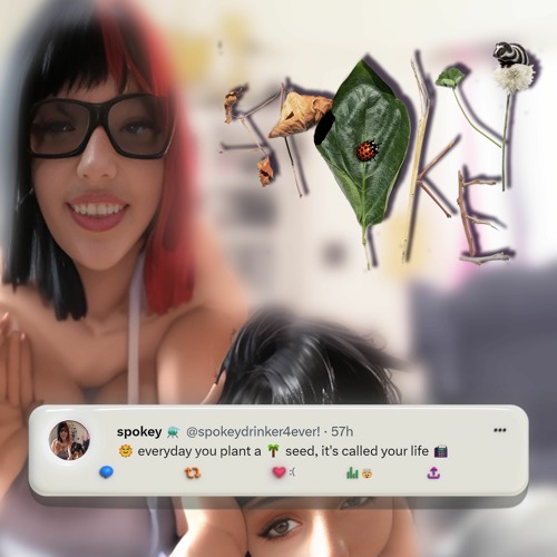 Stream spokey | Listen to everyday you plant a seed 🌺 it's called your ... Stream spokey | Listen to everyday you plant a seed 🌺 it's called your ...