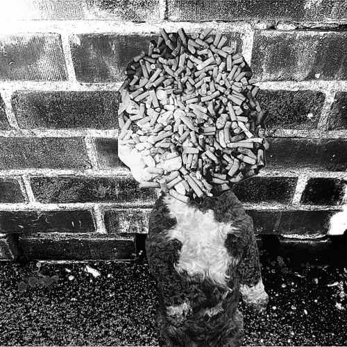 Stream Passed Out - Demo by Tired Cycle | Listen online for free on ...