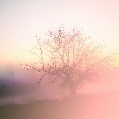 Stream Jordan Christoff - Emanation by Pyramid Blood | Listen online ...
