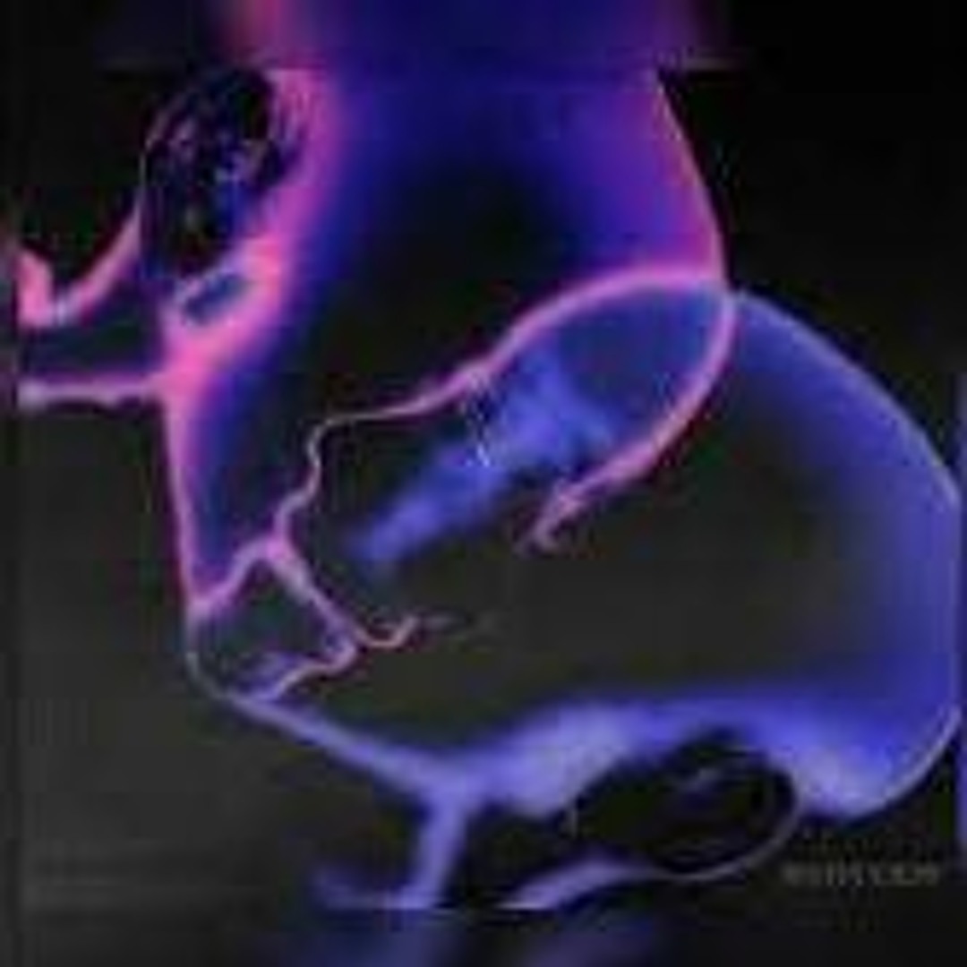 Stream PROFLAME - NUODEMINGAS by Darius Dariune | Listen online for ...