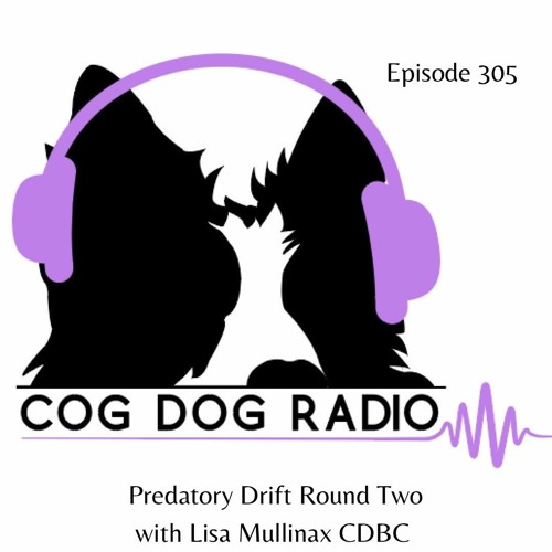 Stream Predatory Drift Round Two with Lisa Mullinax CDBC by Cog-Dog ...
