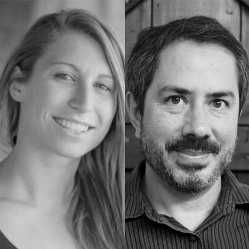 Stream episode Anthony Aguirre and Anna Yelizarova on FLI's ...