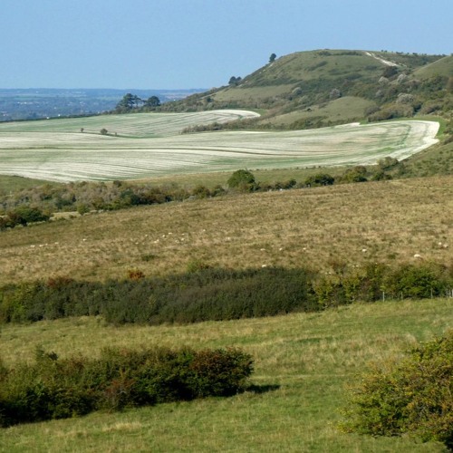 Stream episode Radio Walks - Ivinghoe Beacon with Dennis Furnell by ...