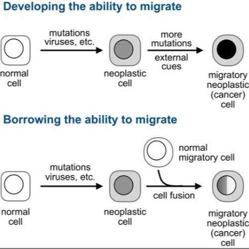 Stream episode Adopted Neoplastic Cells and the Consequences of Their ...