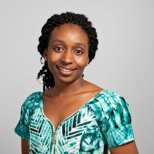 Stream COP 27 - Aminatu Gambo - Women Must Contribute To Policies! by ...