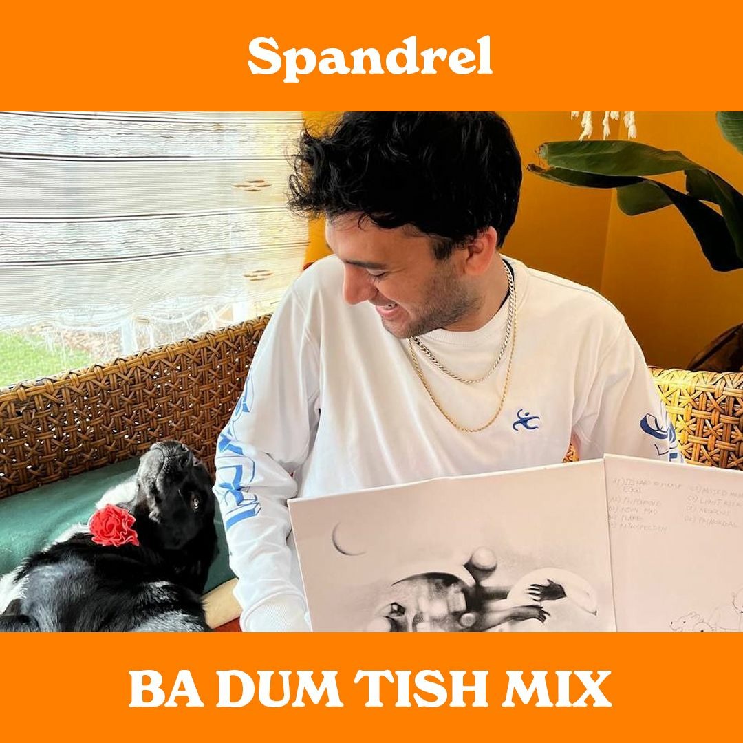 Stream Spandrel - Ba Dum Tish Mix by Ba Dum Tish | Listen online for ...