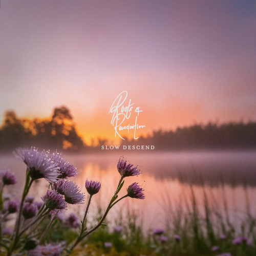 Stream Slow Descend by Roots and Recognition | Listen online for free ...