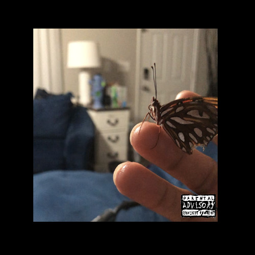 Stream roc (freestyle) [PROD. DEADRISE] by zahrtin | Listen online for ...