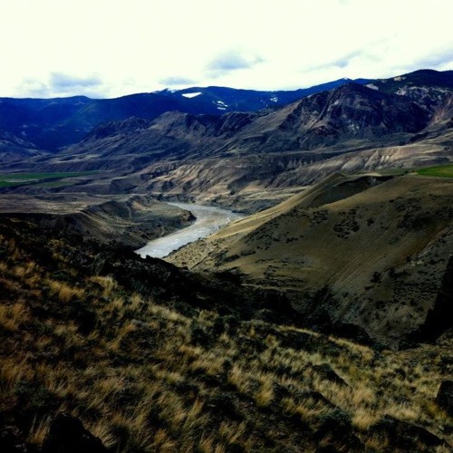 Stream Remember The Beating Heart by Christopher Kinman | Listen online ...