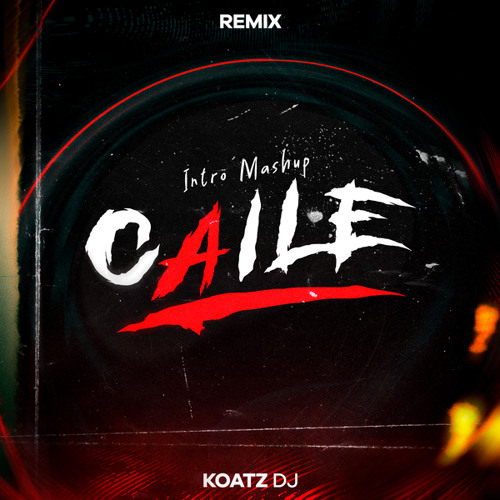 Stream Caile (Intro Mashup) (Remix) by Koatz | Listen online for free ...