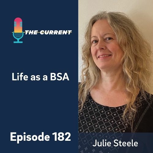 Stream Episode 182: Life as a BSA with Julie Steele by The Current | Listen online for free on ...