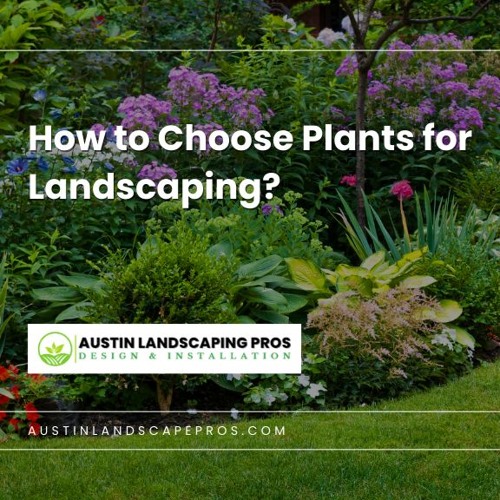 Stream How to Choose Plants for Landscaping? from Austin Landscaping ...