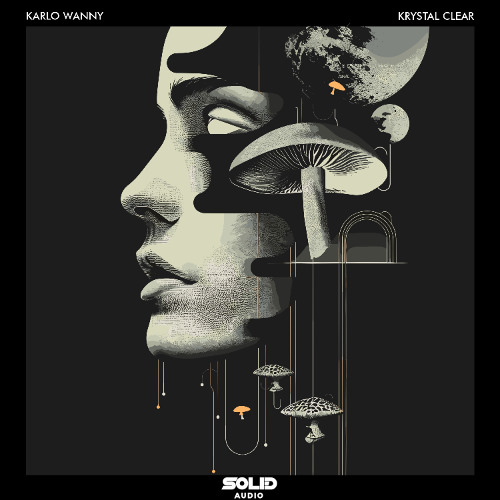 Stream SOLID AUDIO | Listen to SA012_Karlo Wanny - Krystal Clear EP ...