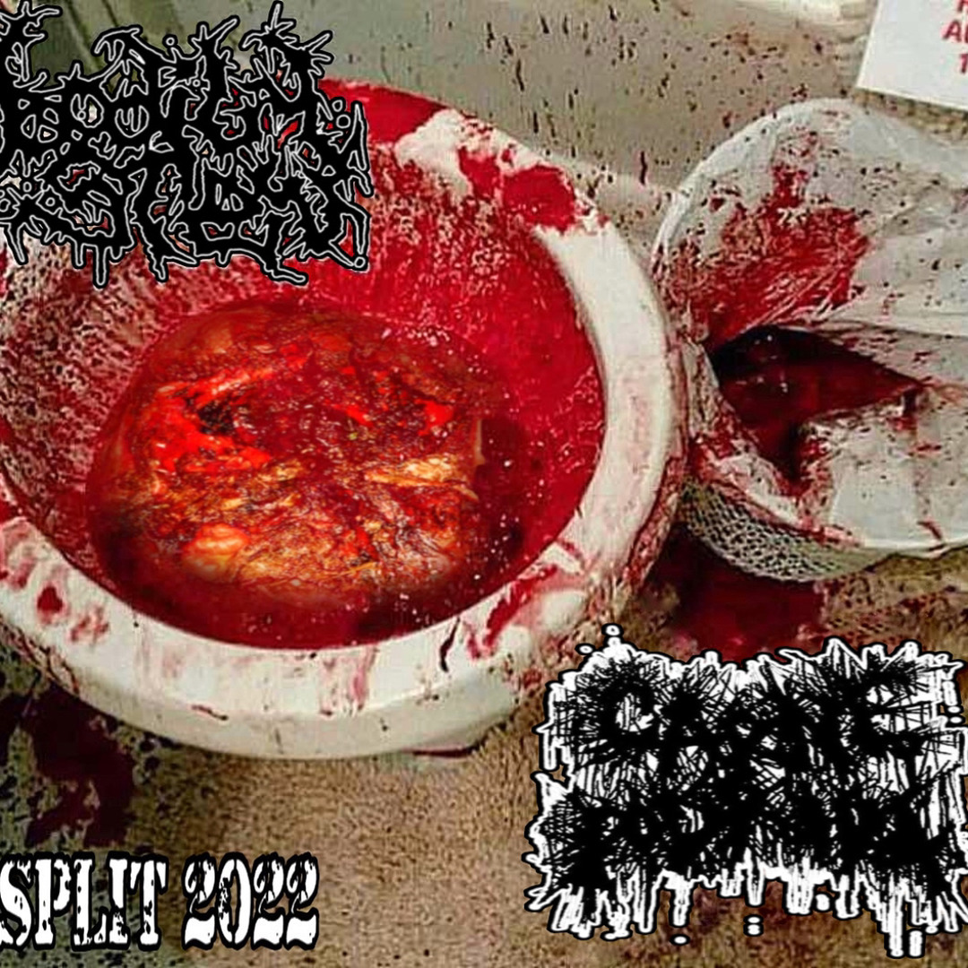 Stream STOP SAYING YOU TWERK TO GRINDCORE by BODILY STEW | Listen ...