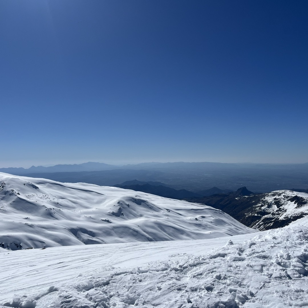 Stream Барбарики-доброта (speed up) by Ruizo_Casat | Listen online for ...