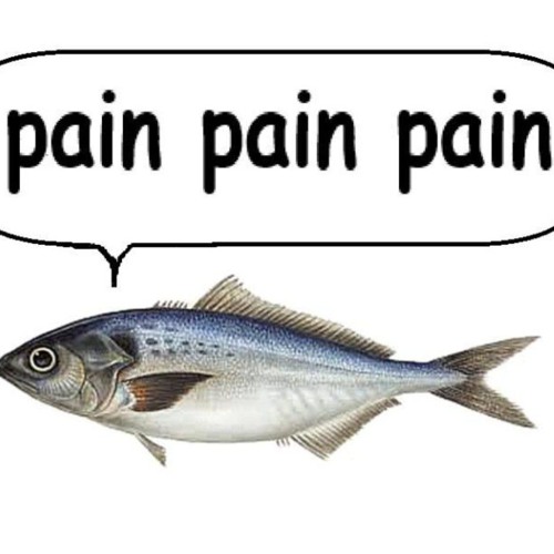 Stream Command & Conquer Red Alert 2 - Intro, Opening Cinematic by ...