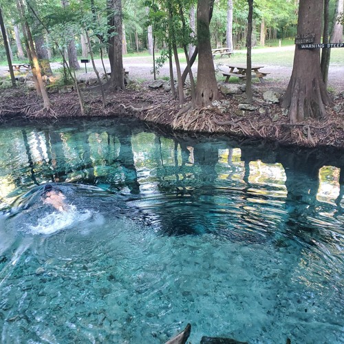 Stream Adeyka Vol 3 by Stepan Gusak | Listen online for free on SoundCloud