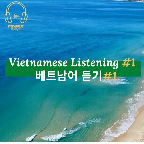 Stream VIETNAMESE LISTENING HUB I Vietnamese Practice Listening #1 ...