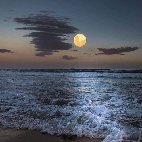 Stream Bobby Yeah - ProgresiveHouse Mix #1 by Bobby Yeah | Listen ...