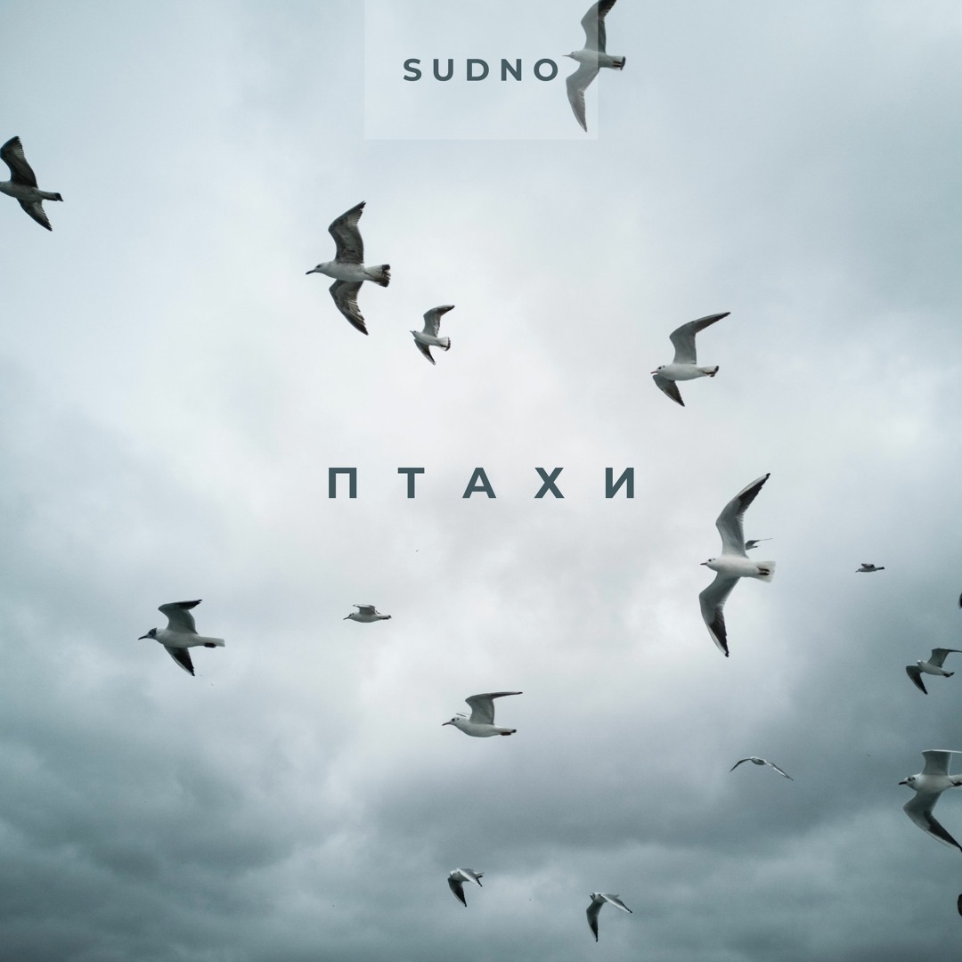 Stream Птахи by SUDNO | Listen online for free on SoundCloud