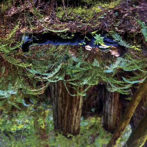 Stream creep thru by arath.ppf | Listen online for free on SoundCloud