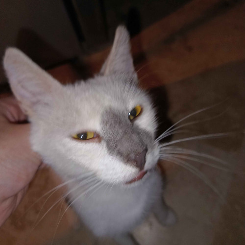 Stream O'Block activities by Alex Coke | Listen online for free on ...