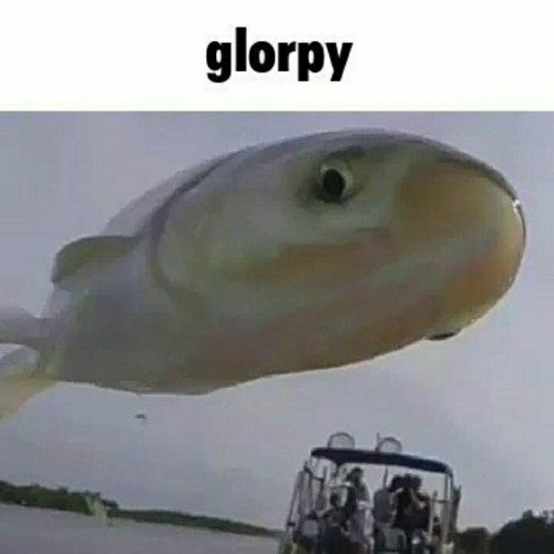 Stream CHAOS KING cover by ultrakill enjoyer | Listen online for free ...