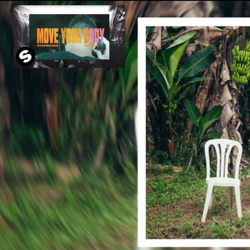 Stream Nuevayol X Move Your Body (Ziani Jay Bootleg Mix) by Ziani Jay ...