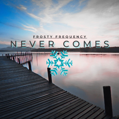 Stream Never Comes by Frosty Frequency | Listen online for free on ...
