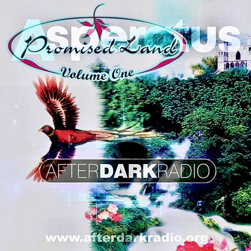 Stream AfterDarkRadio - Promised Land Vol.1 by Asperatus | Listen ...