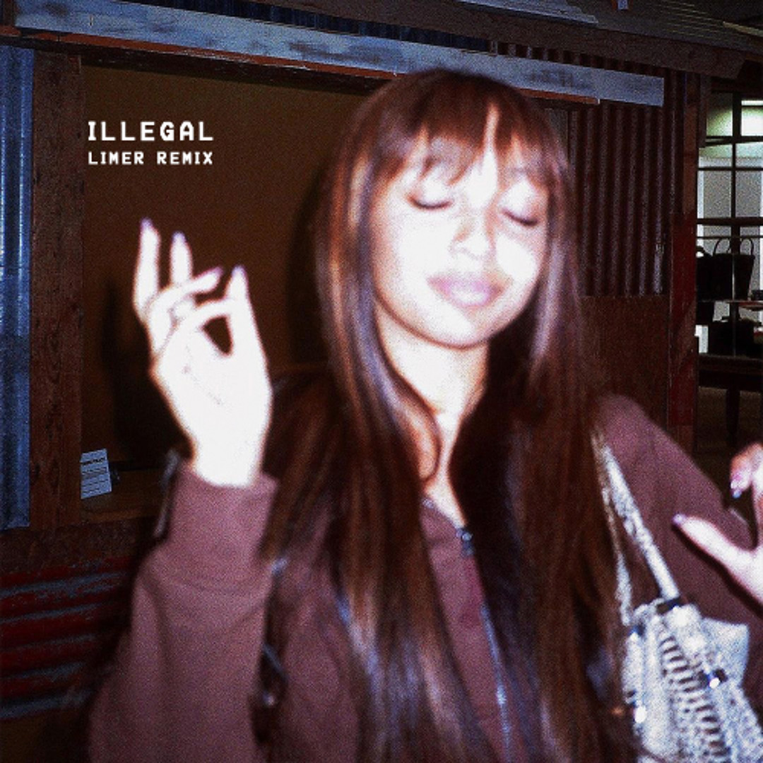 Stream PinkPantheress - Illegal (limer Remix) by limer | Listen online ...