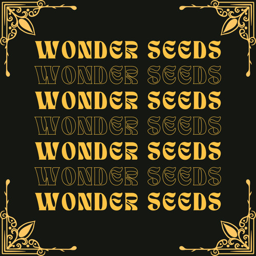 Stream Wonder Seeds by Wonder Seeds | Listen online for free on SoundCloud