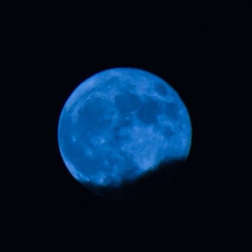 Stream Blue Moon (Prod. 73Delta) by SkyRohket | Listen online for free ...