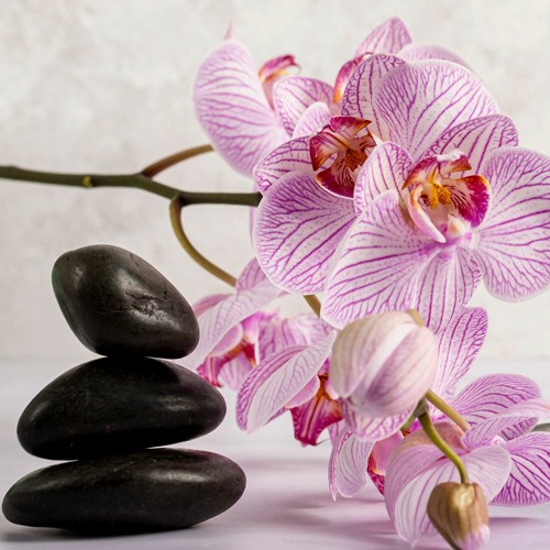 Stream A Meditation On Stopping The War Within from Jack Kornfield’s ...