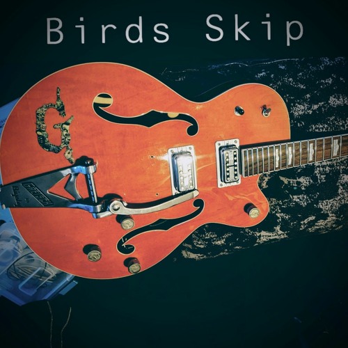 Stream Birds Skip | Listen to Start Here playlist online for free on ...